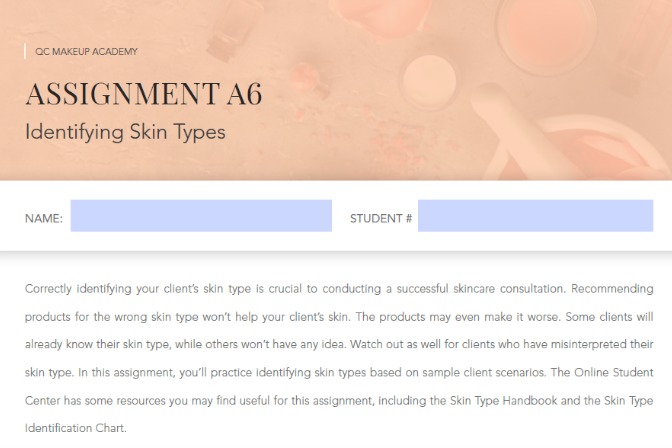 Skincare Course Sample: Identifying Skin Types - QC Makeup Academy